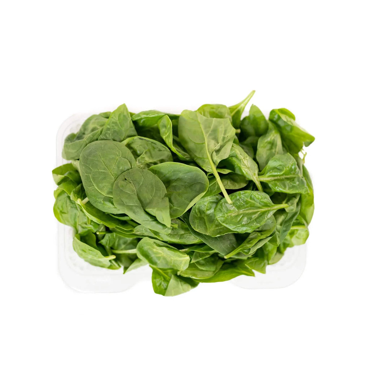 Orchard's Baby Spinach - Large – The Orchard Fruit