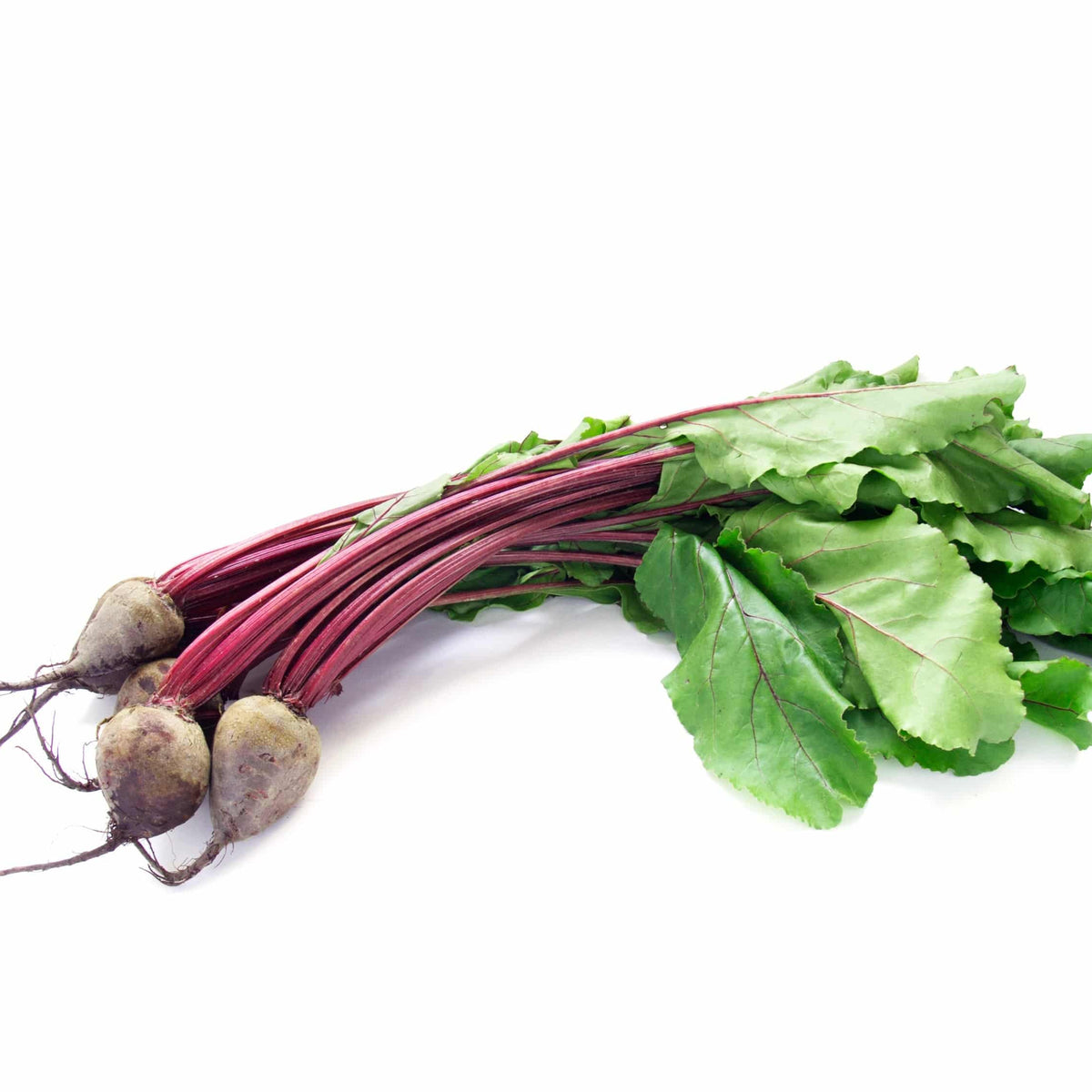 Baby Beets - Fresh Bunch