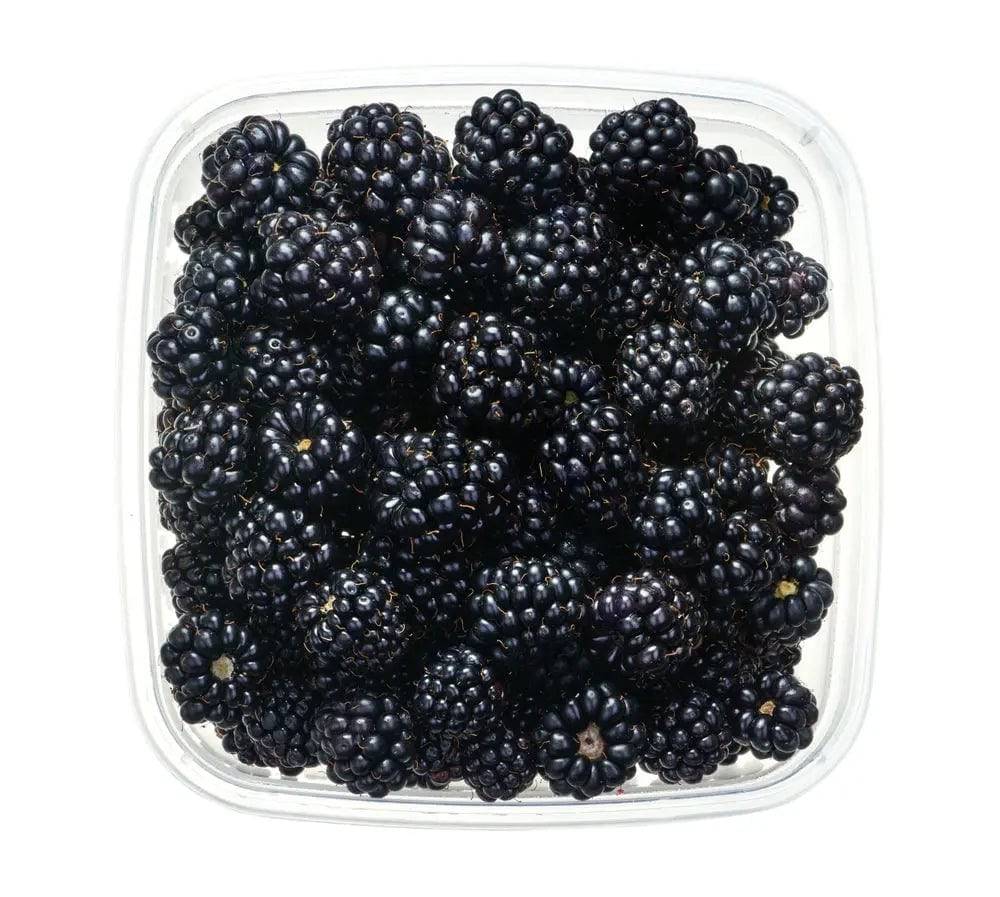 Large Fresh Blackberries – The Orchard Fruit