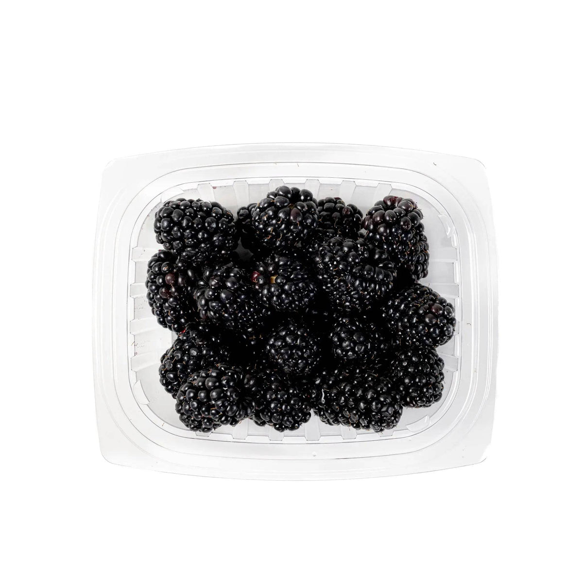 Orchard's Small Blackberries