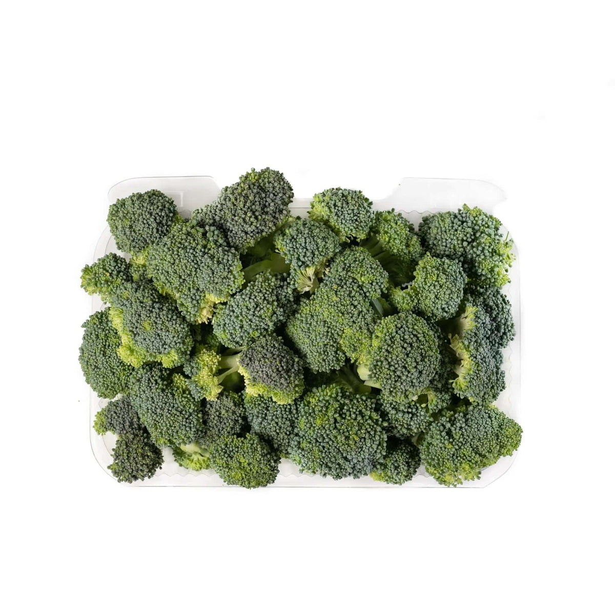 Large Broccoli Florets