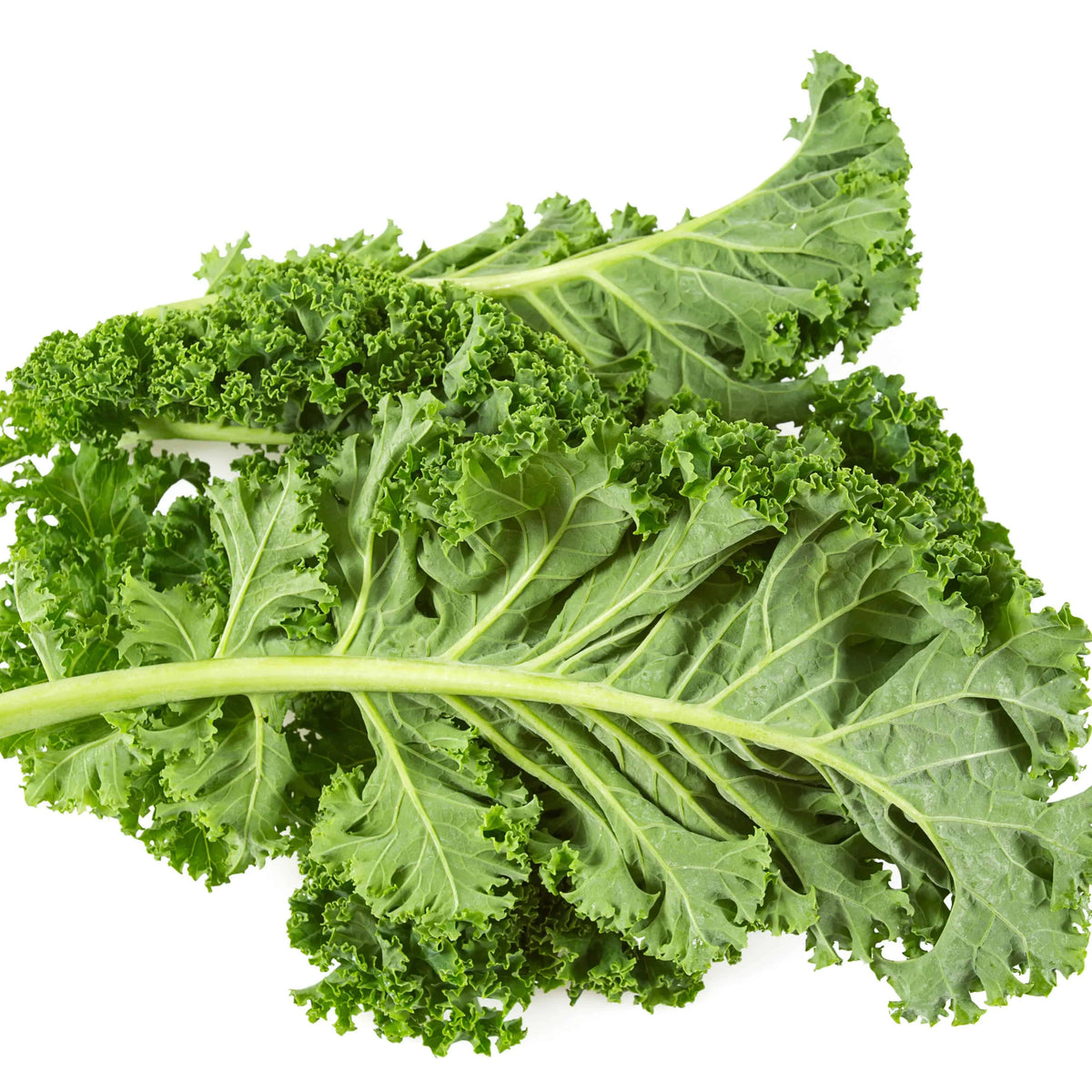 Fresh Kale - 1lb