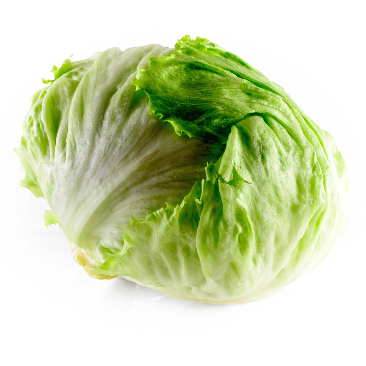 Iceberg Lettuce - Fresh & Crisp