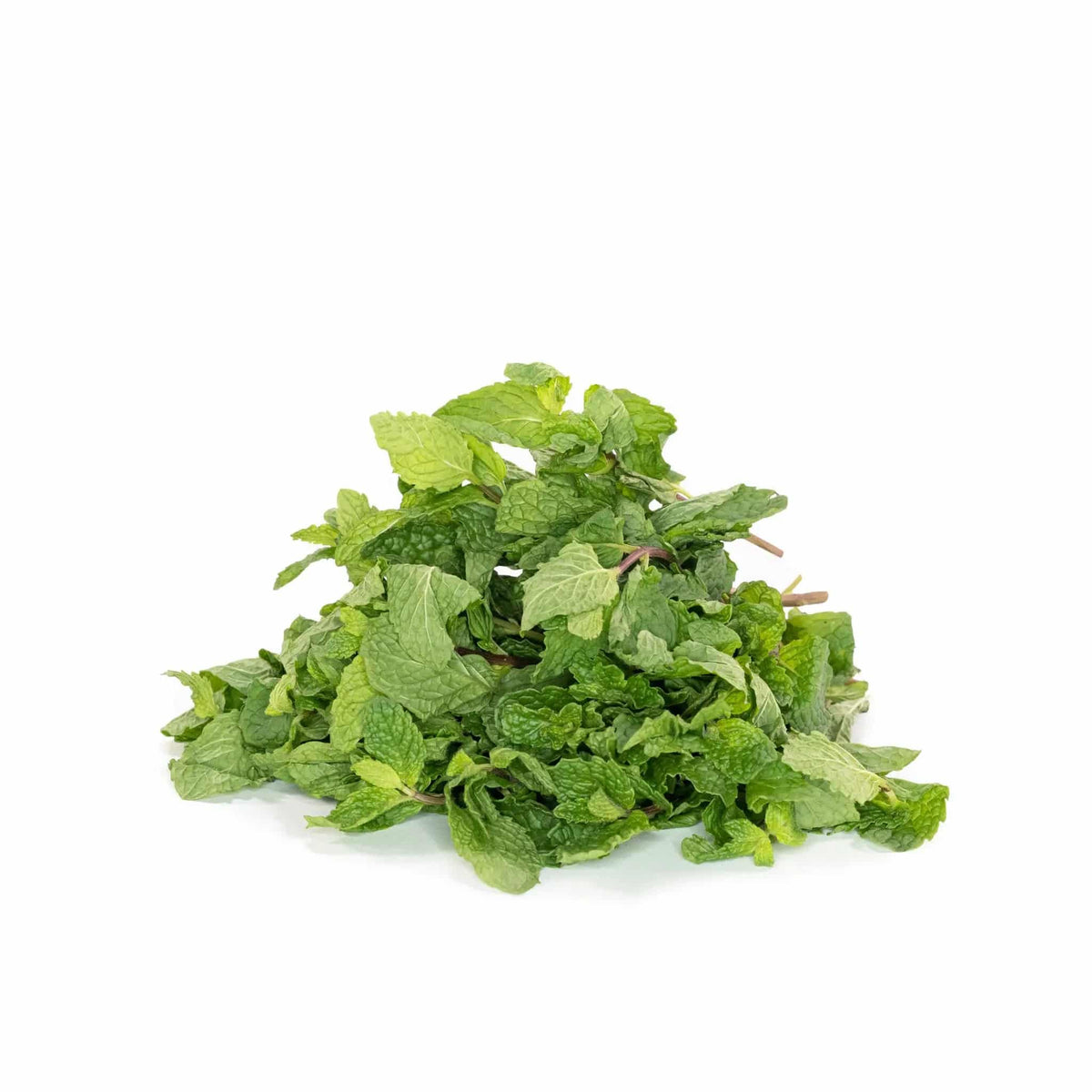 Fresh Mint Bunch