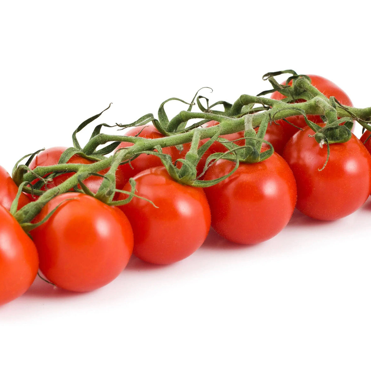 Cherry Tomatoes - Fresh & Flavorful